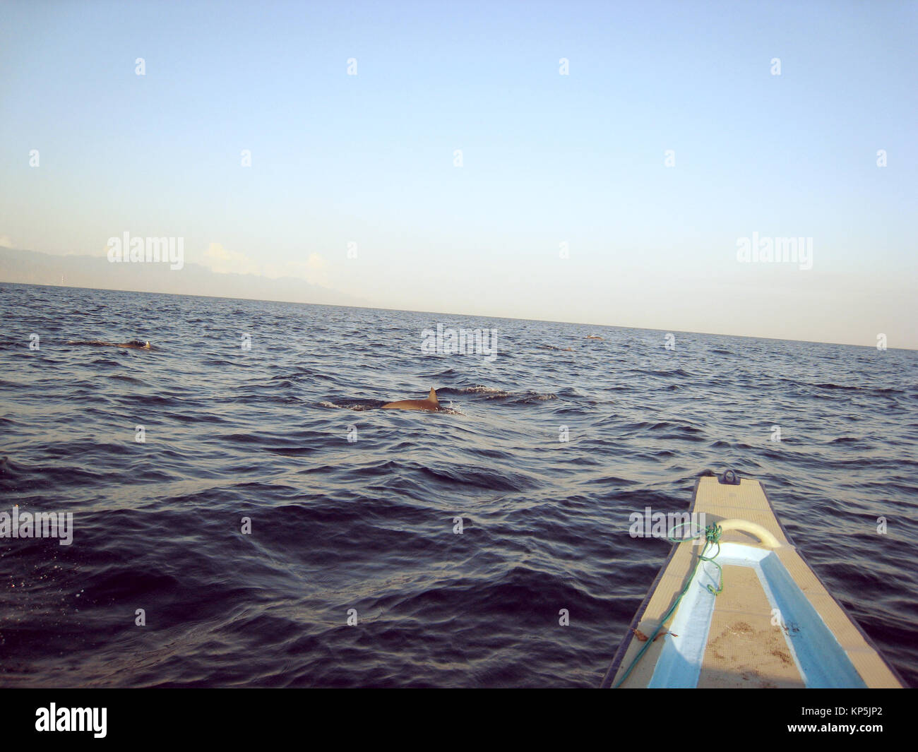 Boat spider legs for viewing dolphins in Bali Stock Photo - Alamy