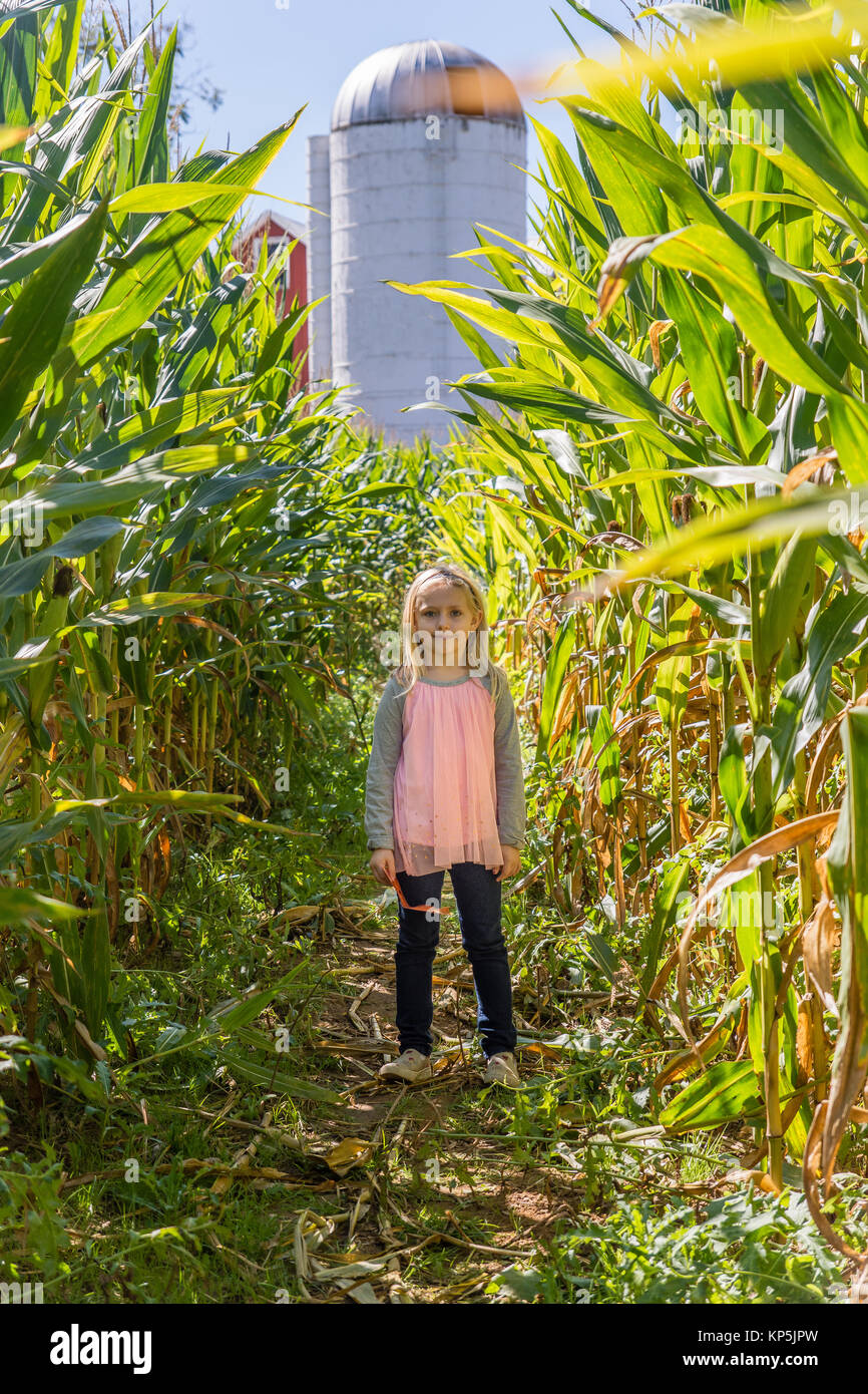 Family leisure corn field hi-res stock photography and images - Alamy