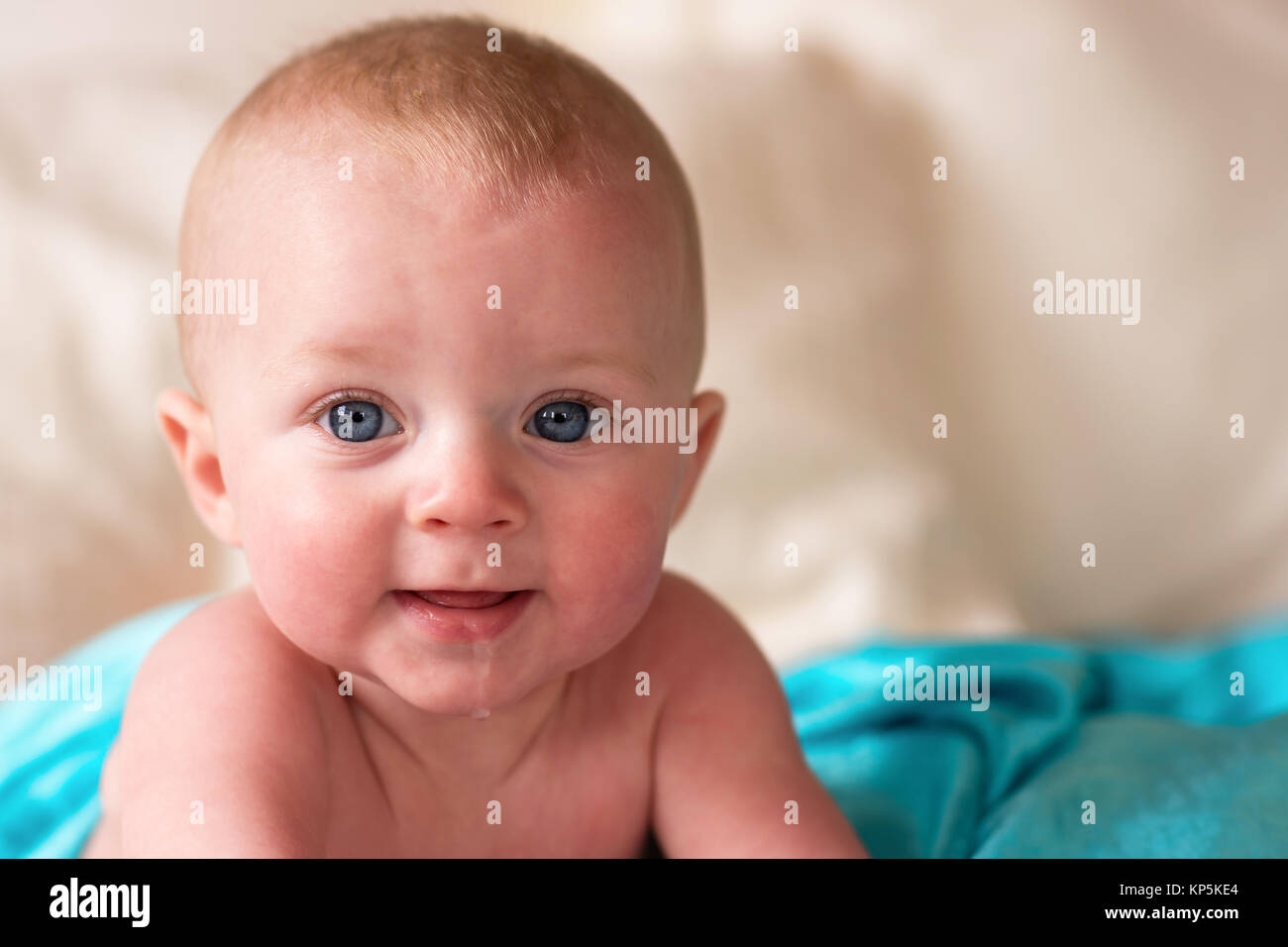 Slobbering hi-res stock photography and images - Alamy