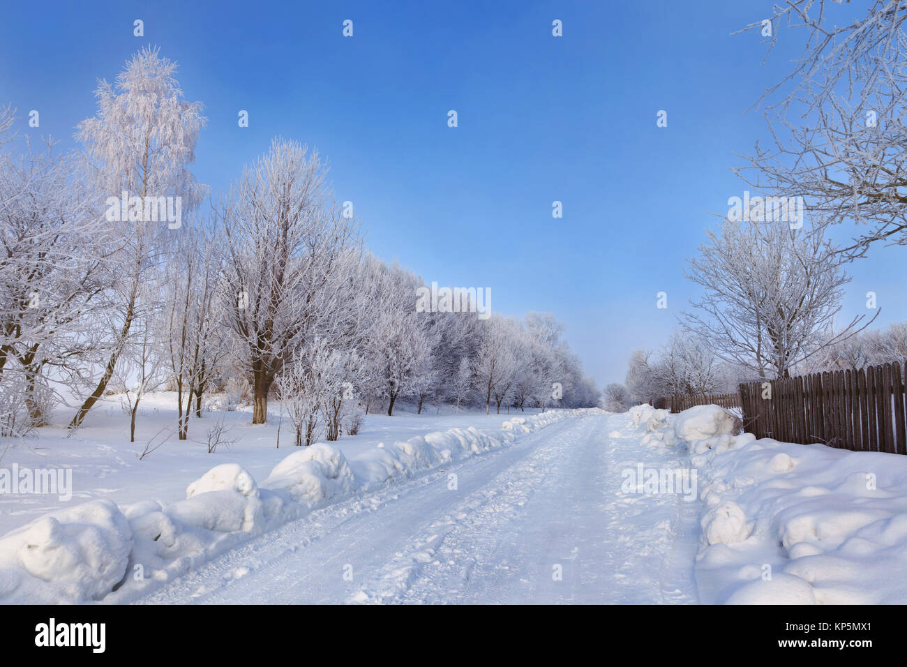 winter landscape with snow-covered road and trees Stock Photo - Alamy