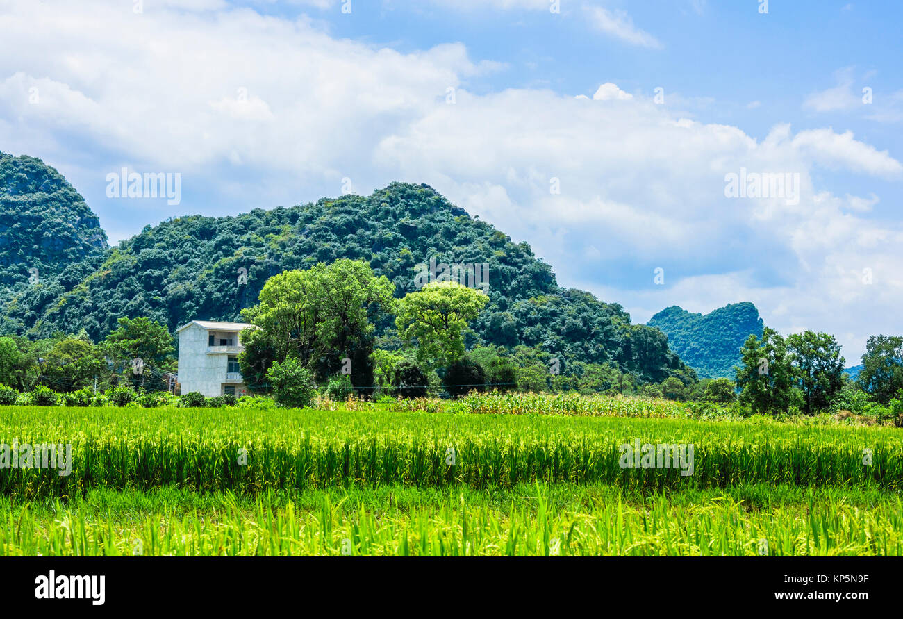 Mountains and rural scenery in summer Stock Photo - Alamy