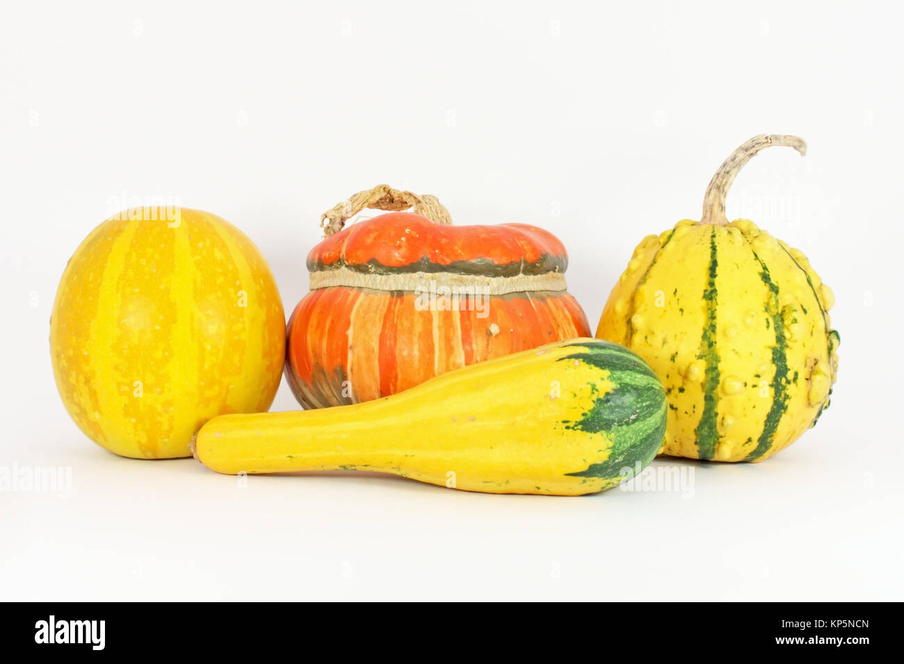 Decorative gourds isolated hi-res stock photography and images - Alamy
