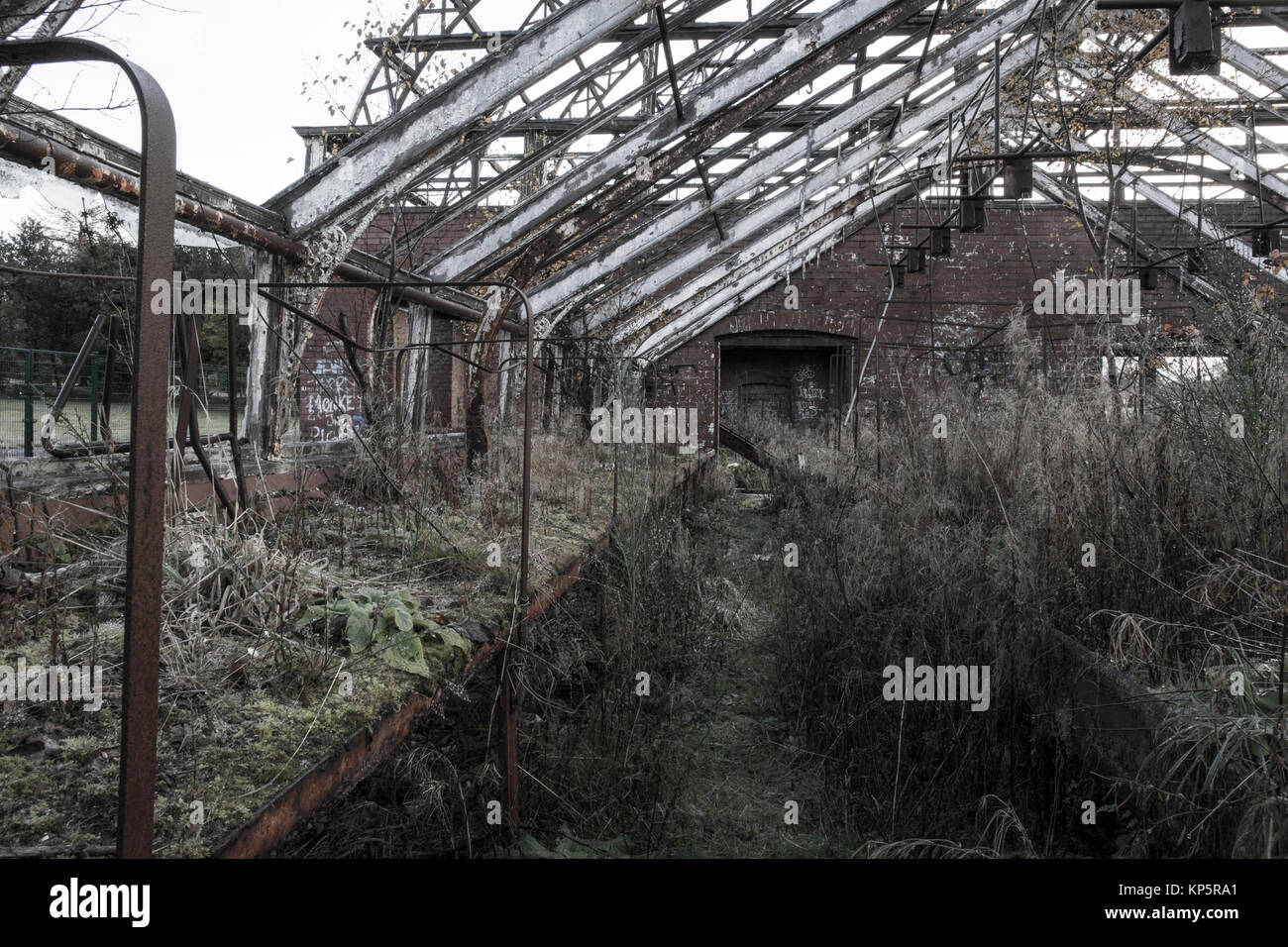Abandoned Buildings. Scotland Stock Photo - Alamy