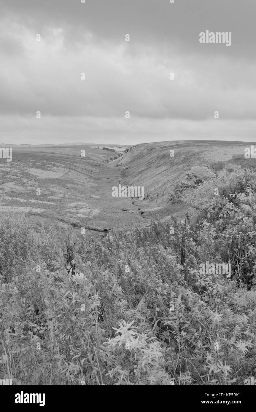 Two moors Black and White Stock Photos & Images - Alamy
