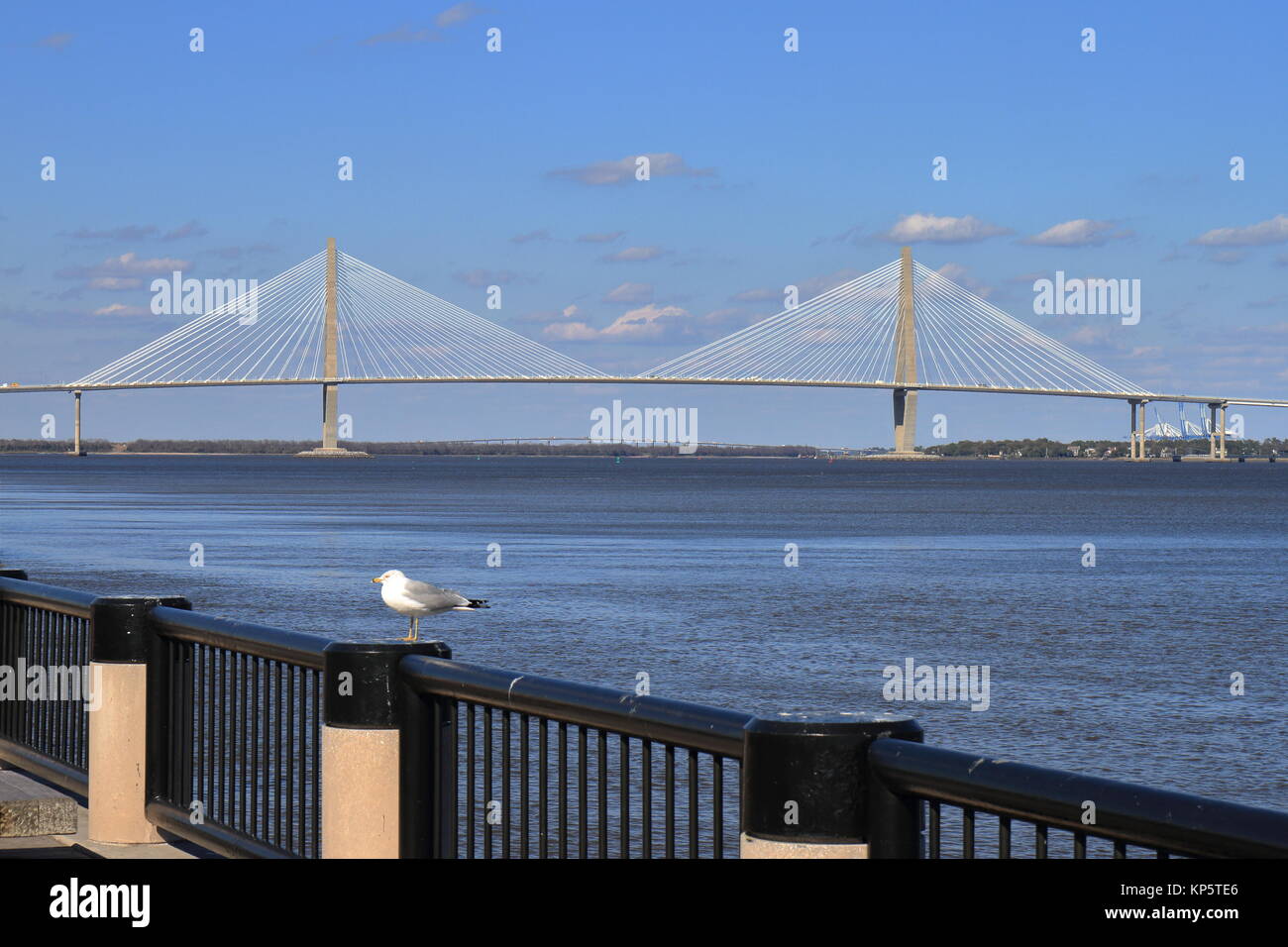 Arthur Ravenel Jr. Bridge - Charleston, SC - USA Stock Photo - Alamy