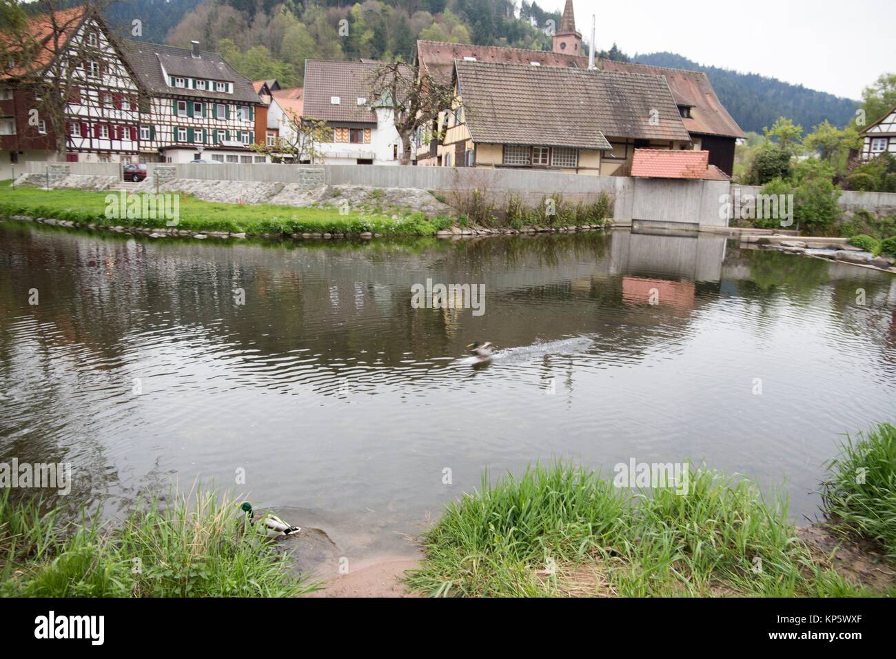 Half timbered houses in schiltach in the black forest hi-res stock ...