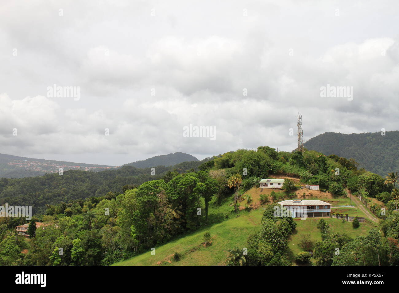 Near Mount Pelee - Martinique Stock Photo - Alamy