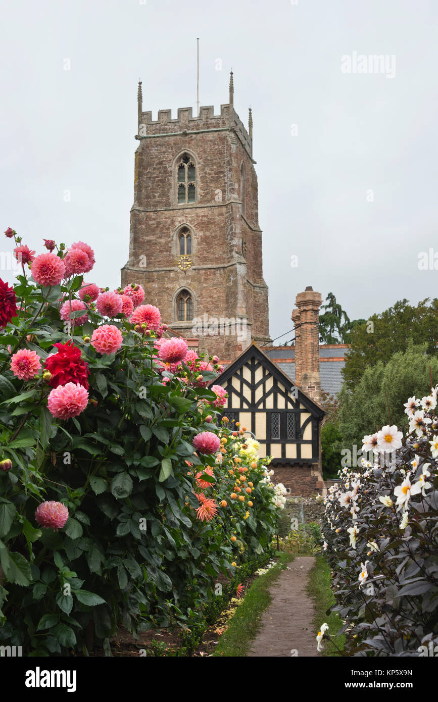Dunster castle gardens hi-res stock photography and images - Alamy