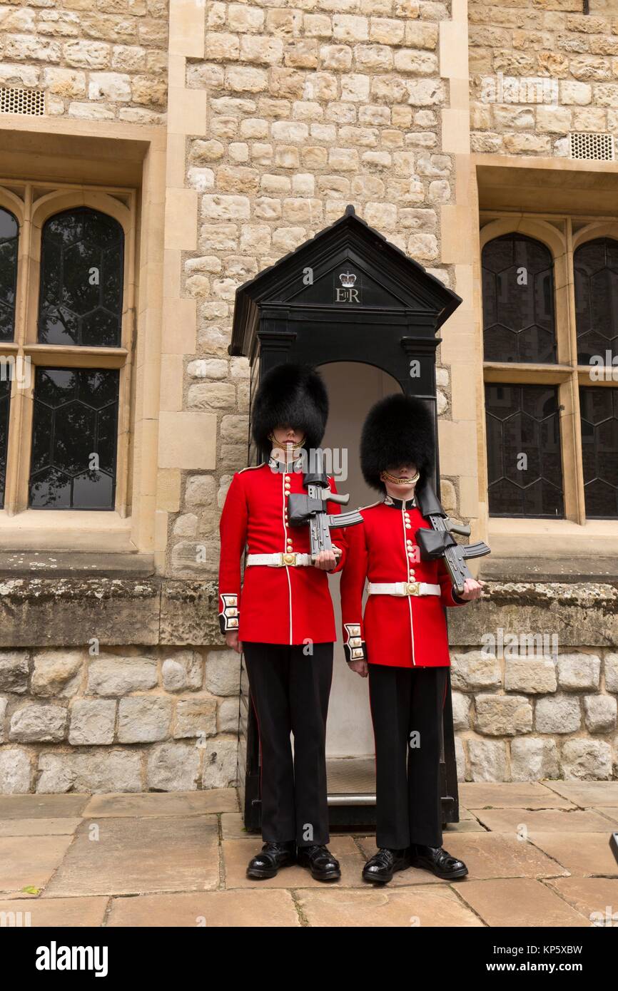 Coldstream Guard High Resolution Stock Photography and Images - Alamy