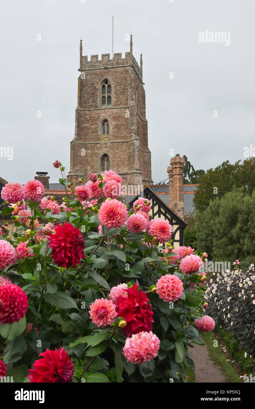 An autum time view of the National Trusts Dream Garden in flower at ...