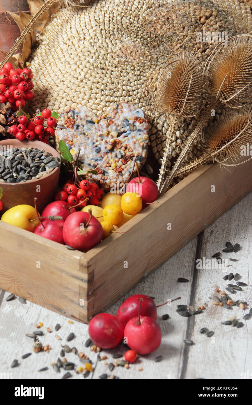 Bird food buffet ingredients including crab apples, sunflower seeds ...
