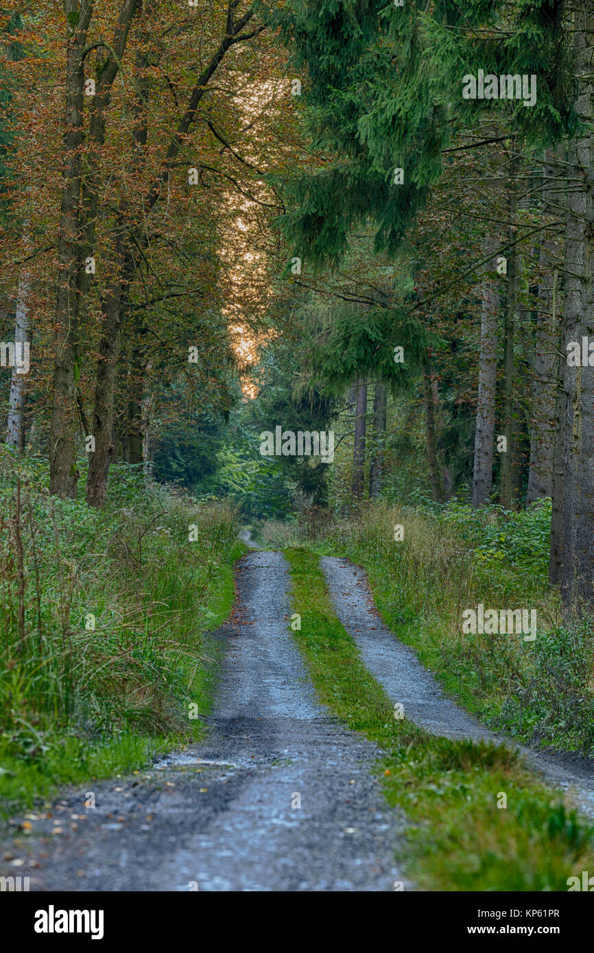 Waldstraaye hi-res stock photography and images - Alamy