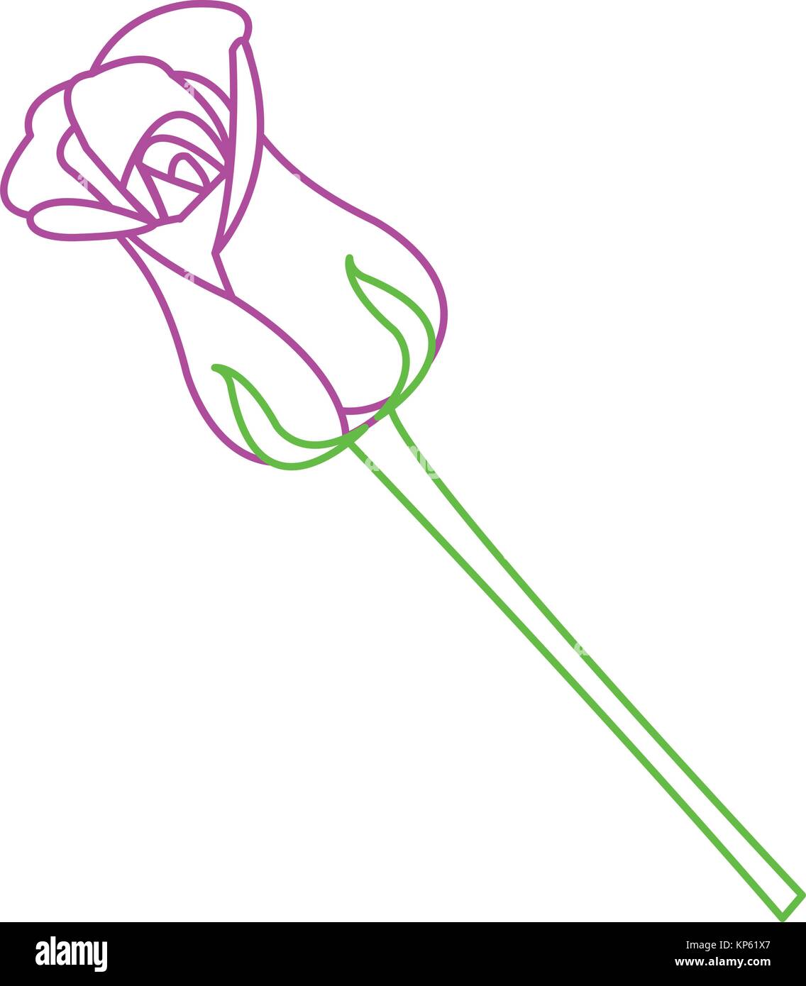 Isolated rose design Stock Vector Image & Art - Alamy