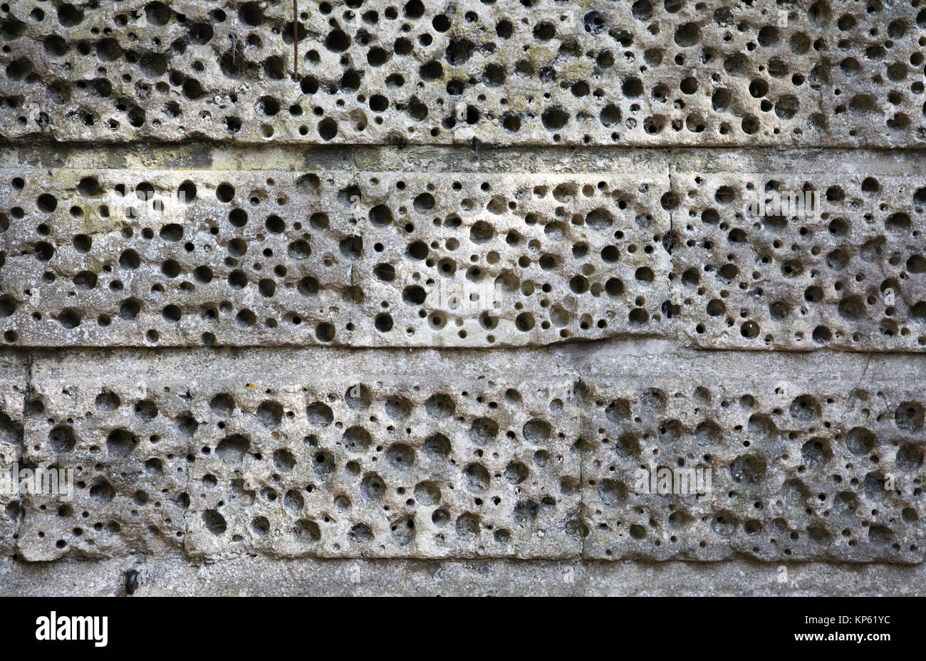 Rusticated Rust Rusticated US