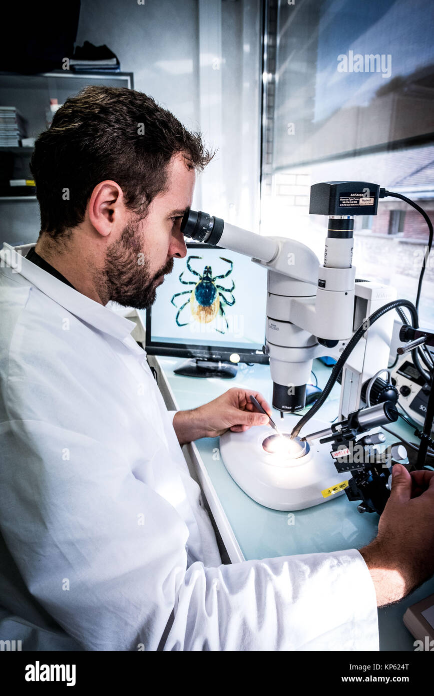 Study and analysis of ticks by the animal health laboratory of Anses ...