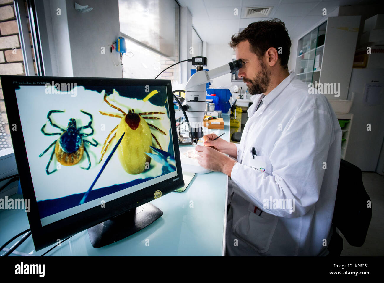 Study and analysis of ticks by the animal health laboratory of Anses ...