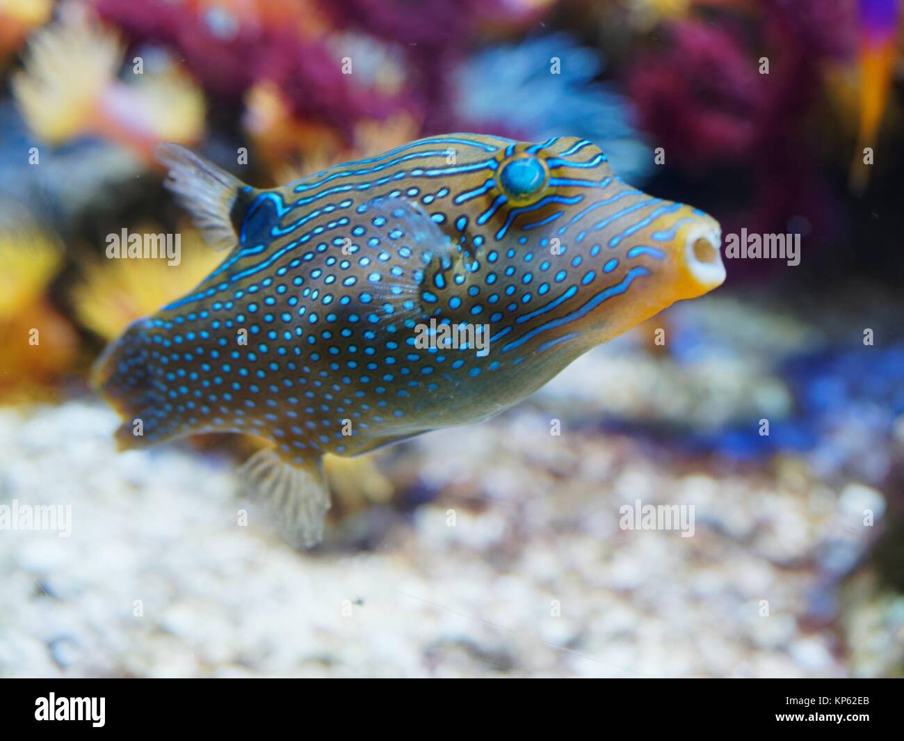 Transport spine hi-res stock photography and images - Alamy