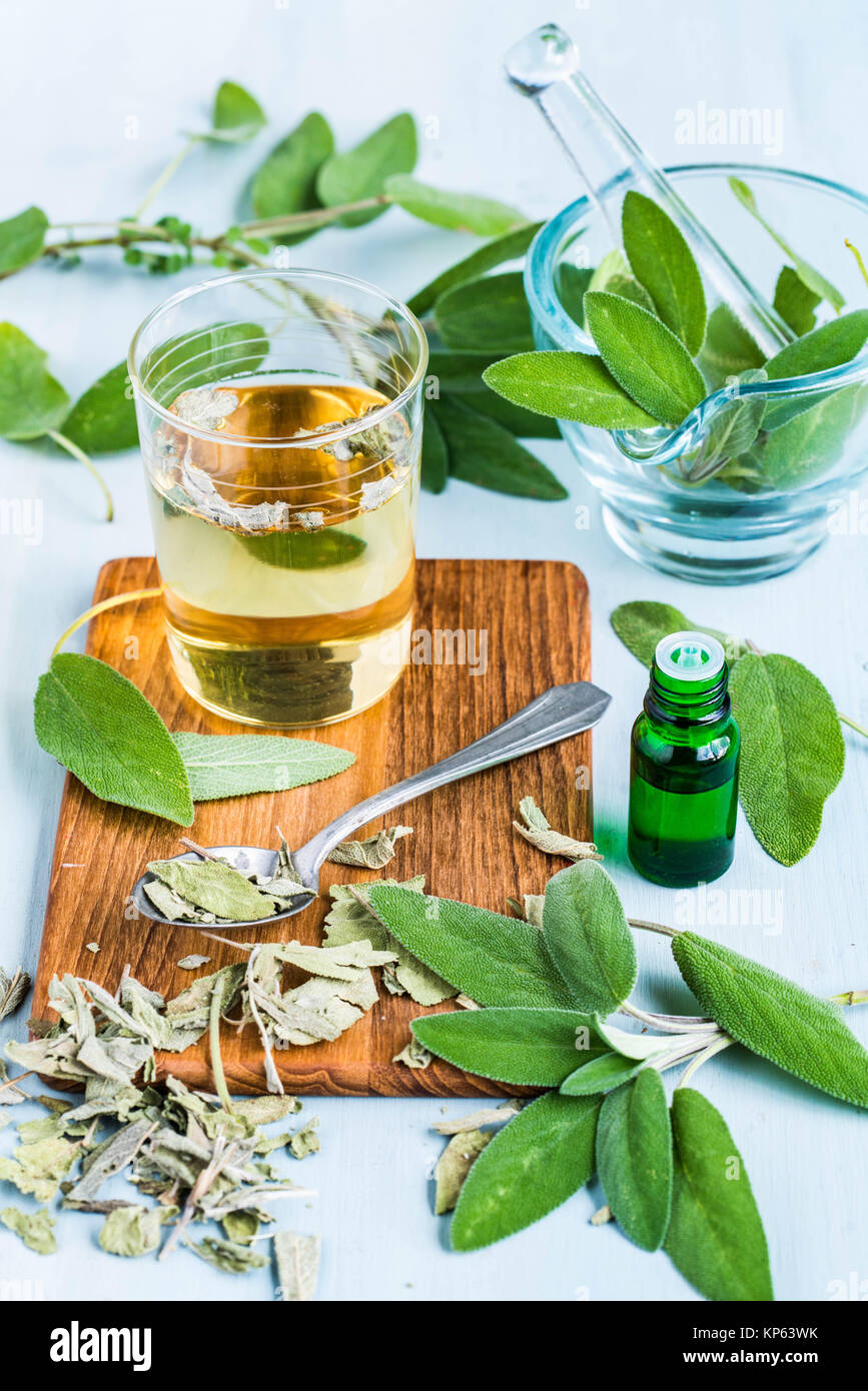 Sage (Salvia officinalis) essential oil and tea Stock Photo - Alamy