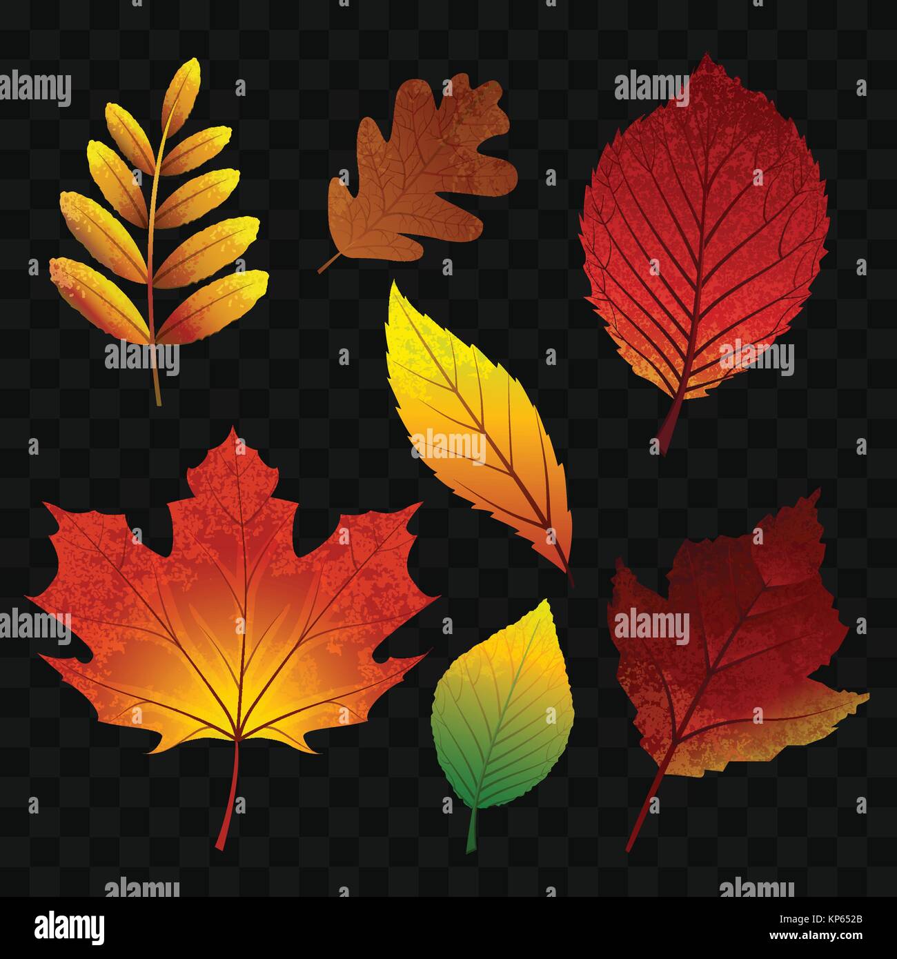 Fall symbol image Stock Vector Images - Alamy