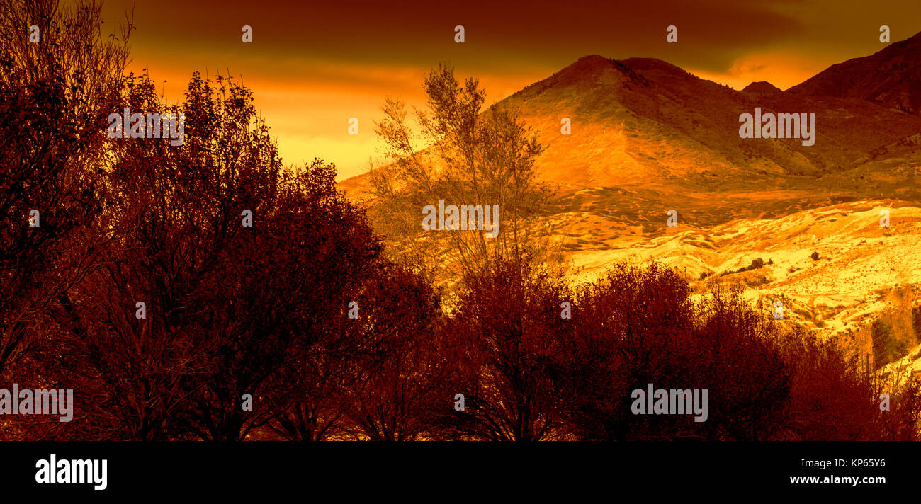 Eye catching images hi-res stock photography and images - Alamy