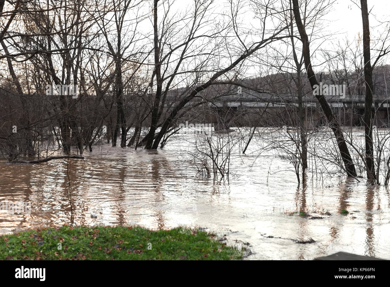 The river after the downpours came out of the banks. Flooding of river ...