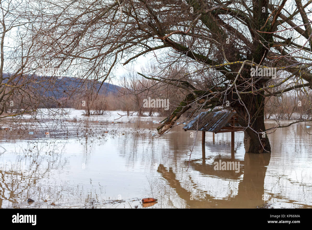 The river after the downpours came out of the banks. Flooding of river ...