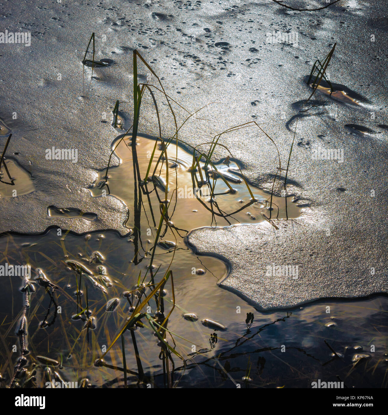 Melting ice on a pond in spring, close-up Stock Photo - Alamy