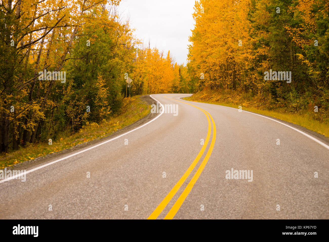 Path dividing lawn hi-res stock photography and images - Alamy