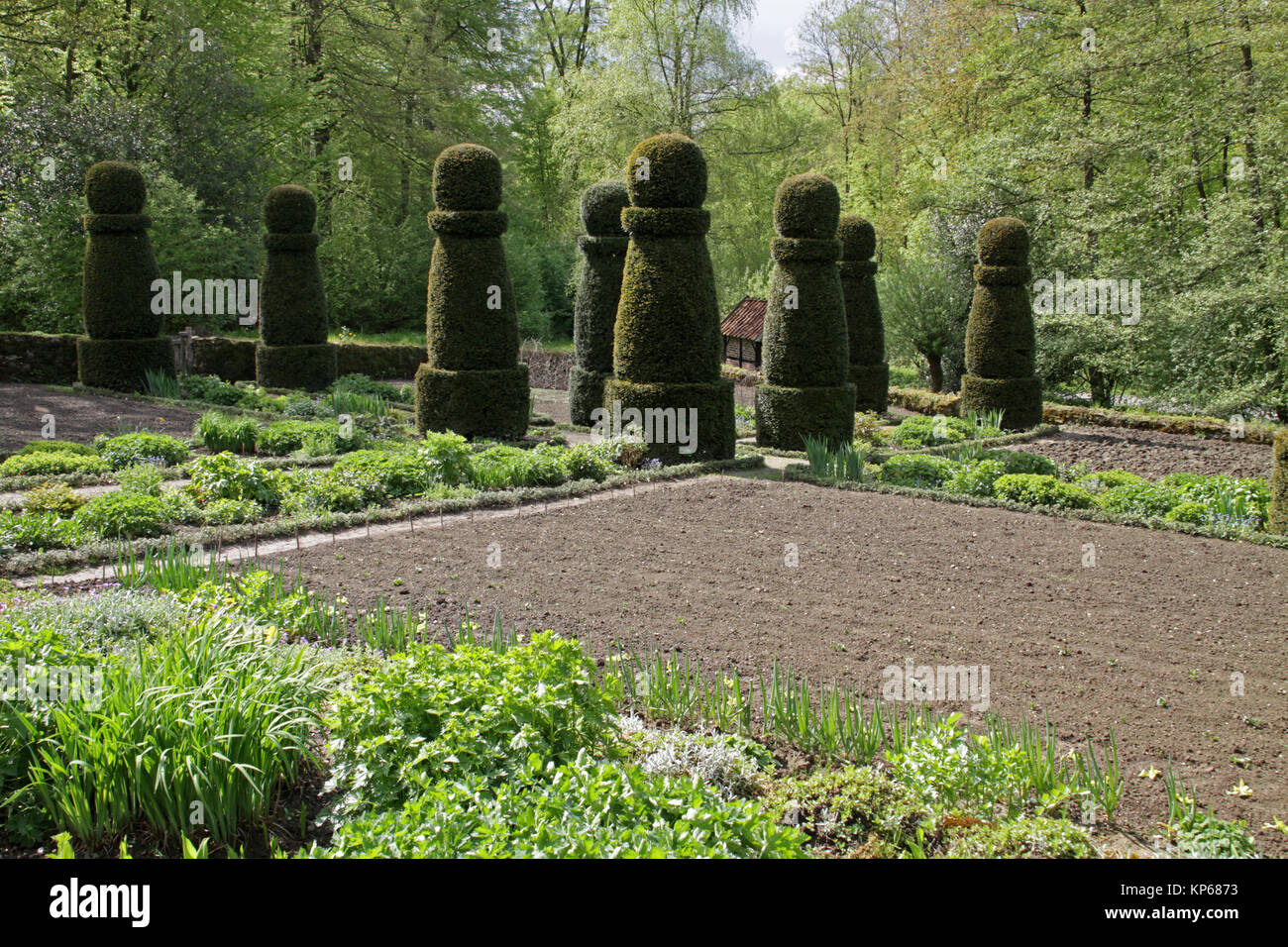 garden with boxwood columns Stock Photo - Alamy
