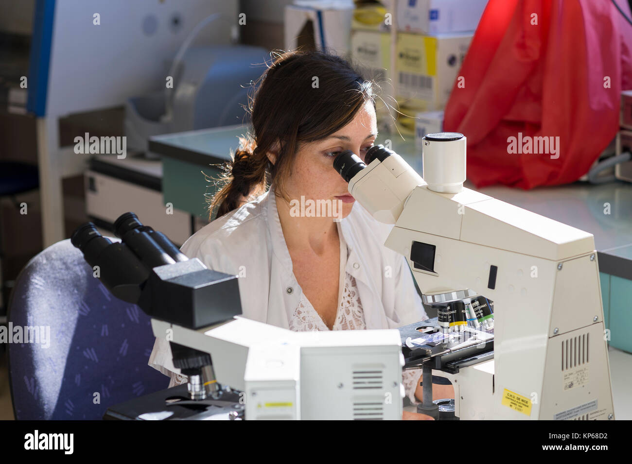 ASSISTED REPRODUCTIVE TECHNOLOGY Stock Photo - Alamy