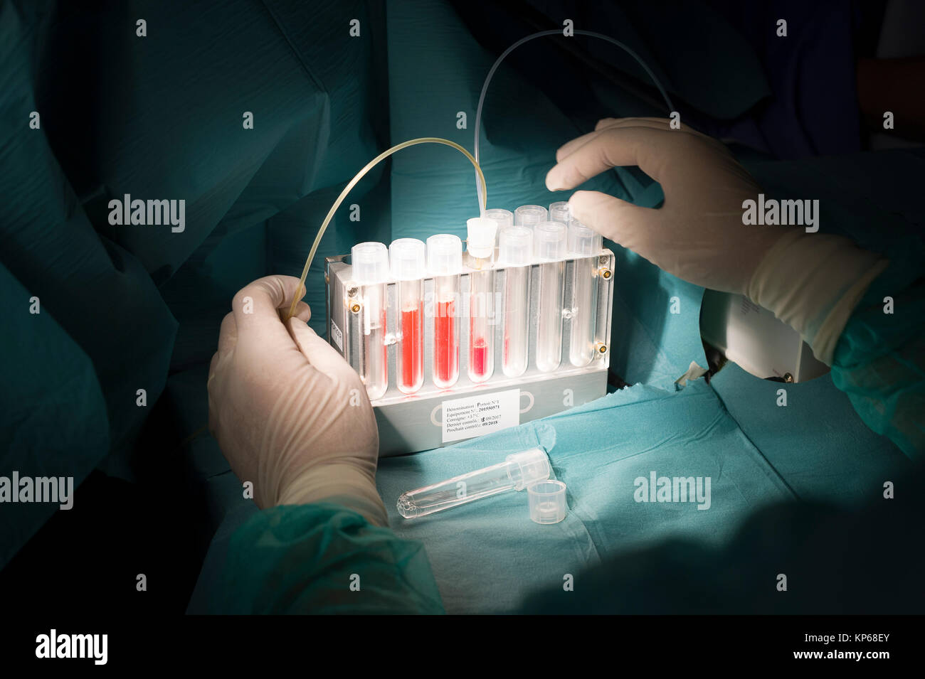 ASSISTED REPRODUCTIVE TECHNOLOGY Stock Photo - Alamy