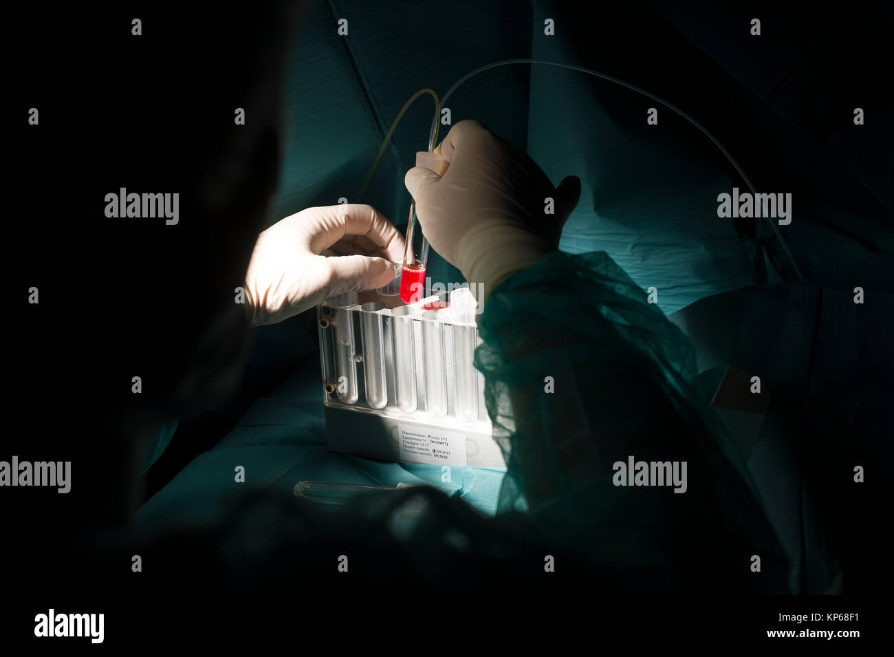 ASSISTED REPRODUCTIVE TECHNOLOGY Stock Photo - Alamy