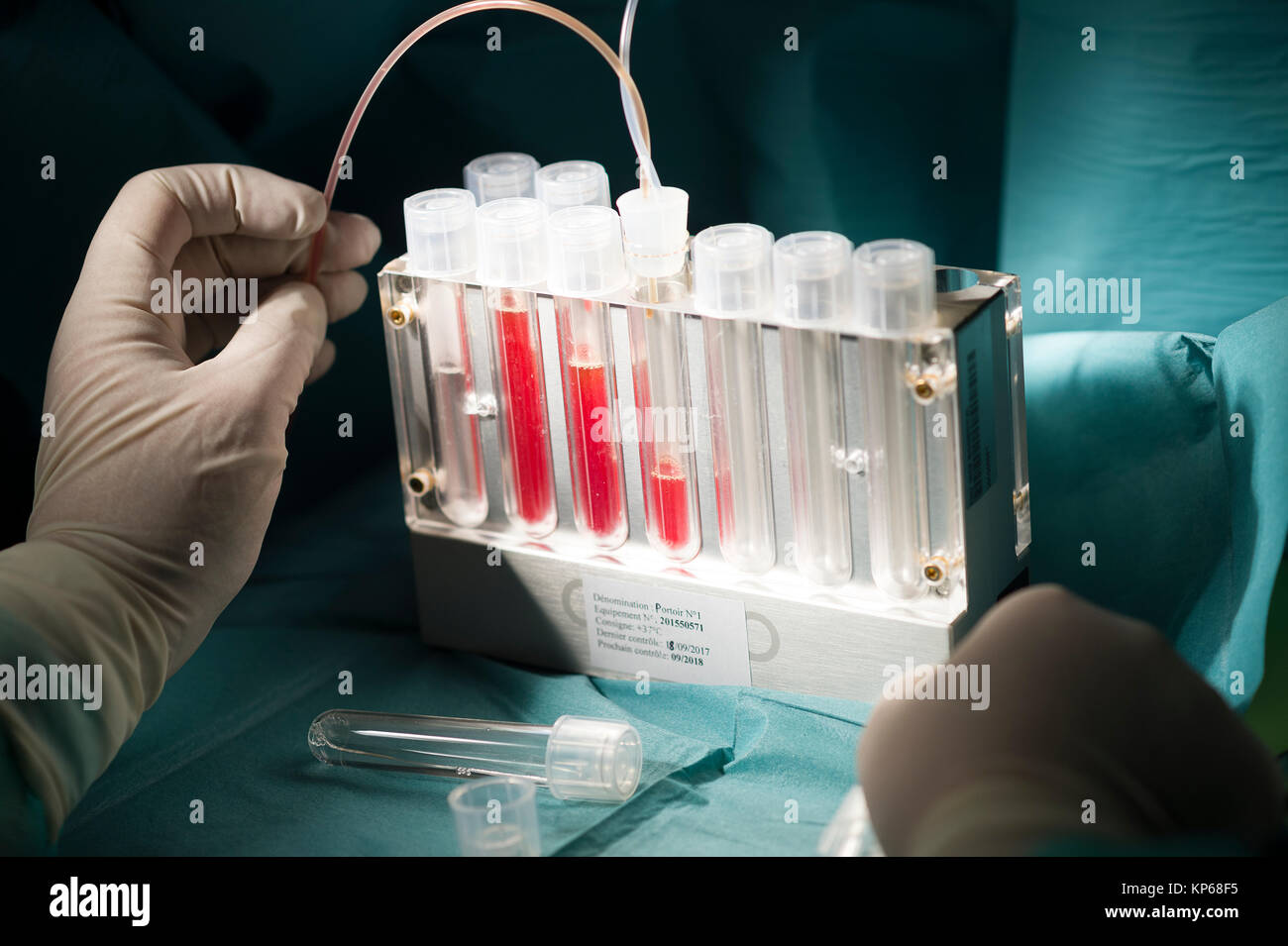 ASSISTED REPRODUCTIVE TECHNOLOGY Stock Photo - Alamy