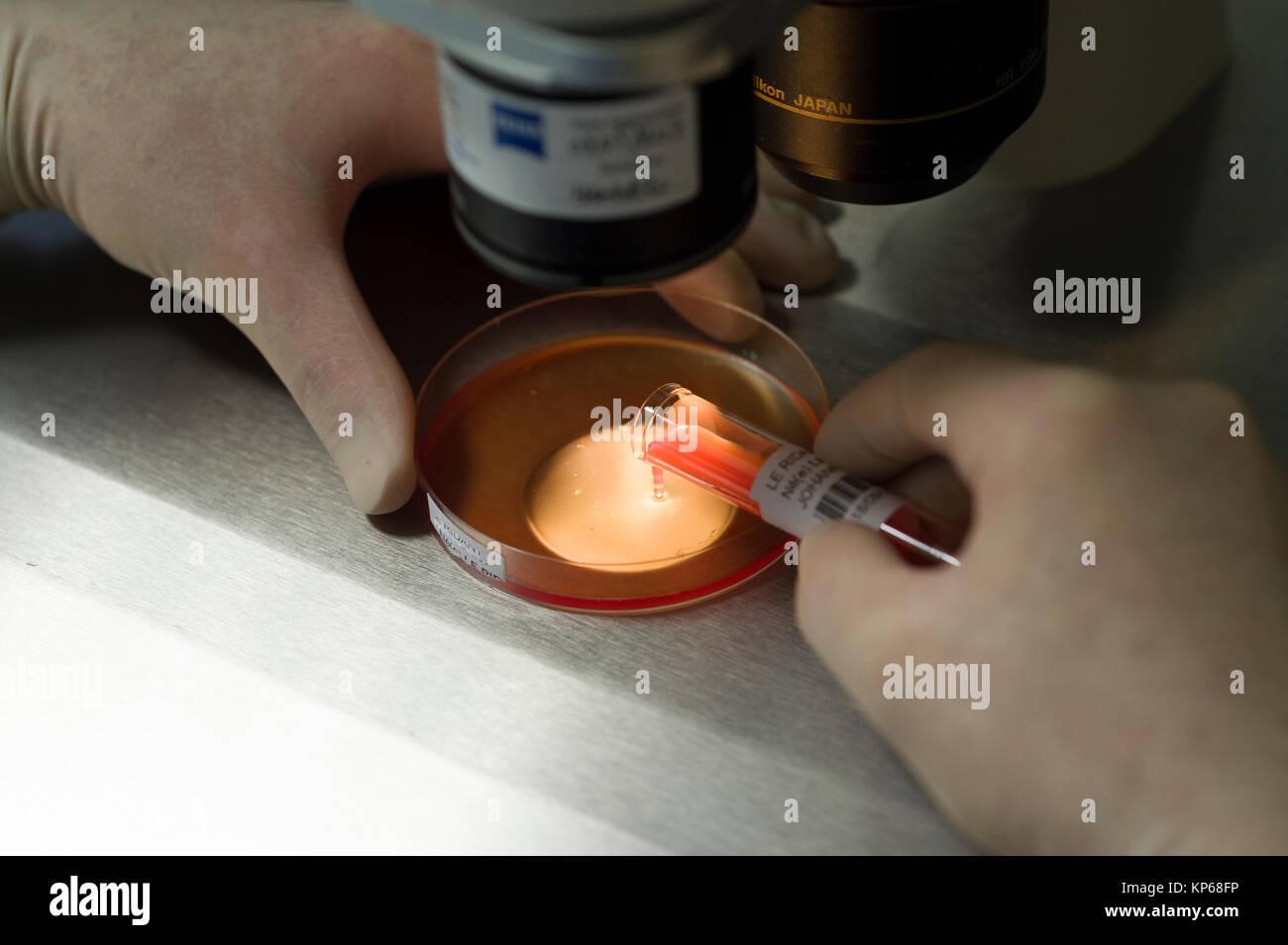 ASSISTED REPRODUCTIVE TECHNOLOGY Stock Photo - Alamy