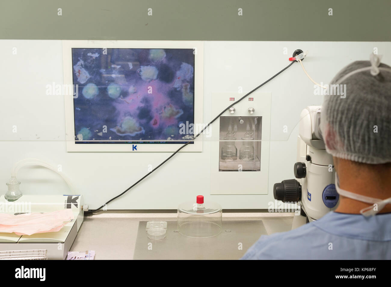 ASSISTED REPRODUCTIVE TECHNOLOGY Stock Photo - Alamy