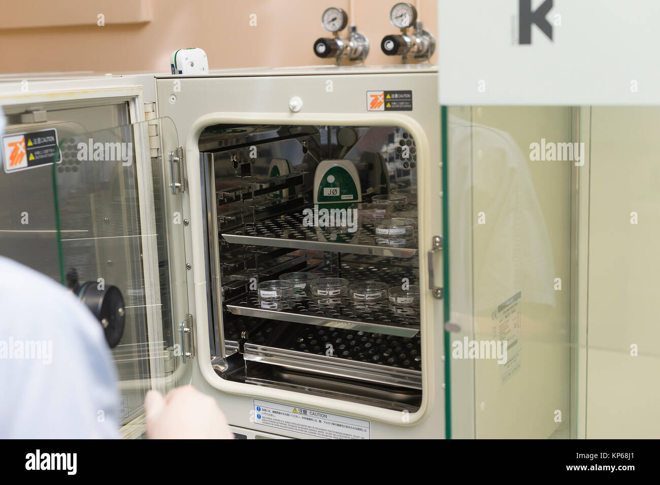 Human female reproductive system hi-res stock photography and images ...