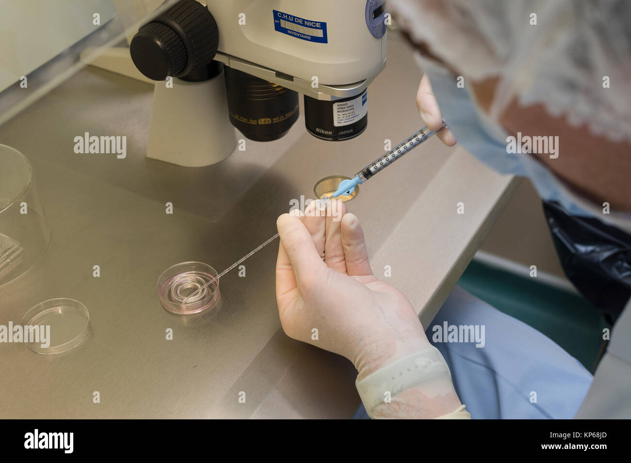 ASSISTED REPRODUCTIVE TECHNOLOGY Stock Photo - Alamy