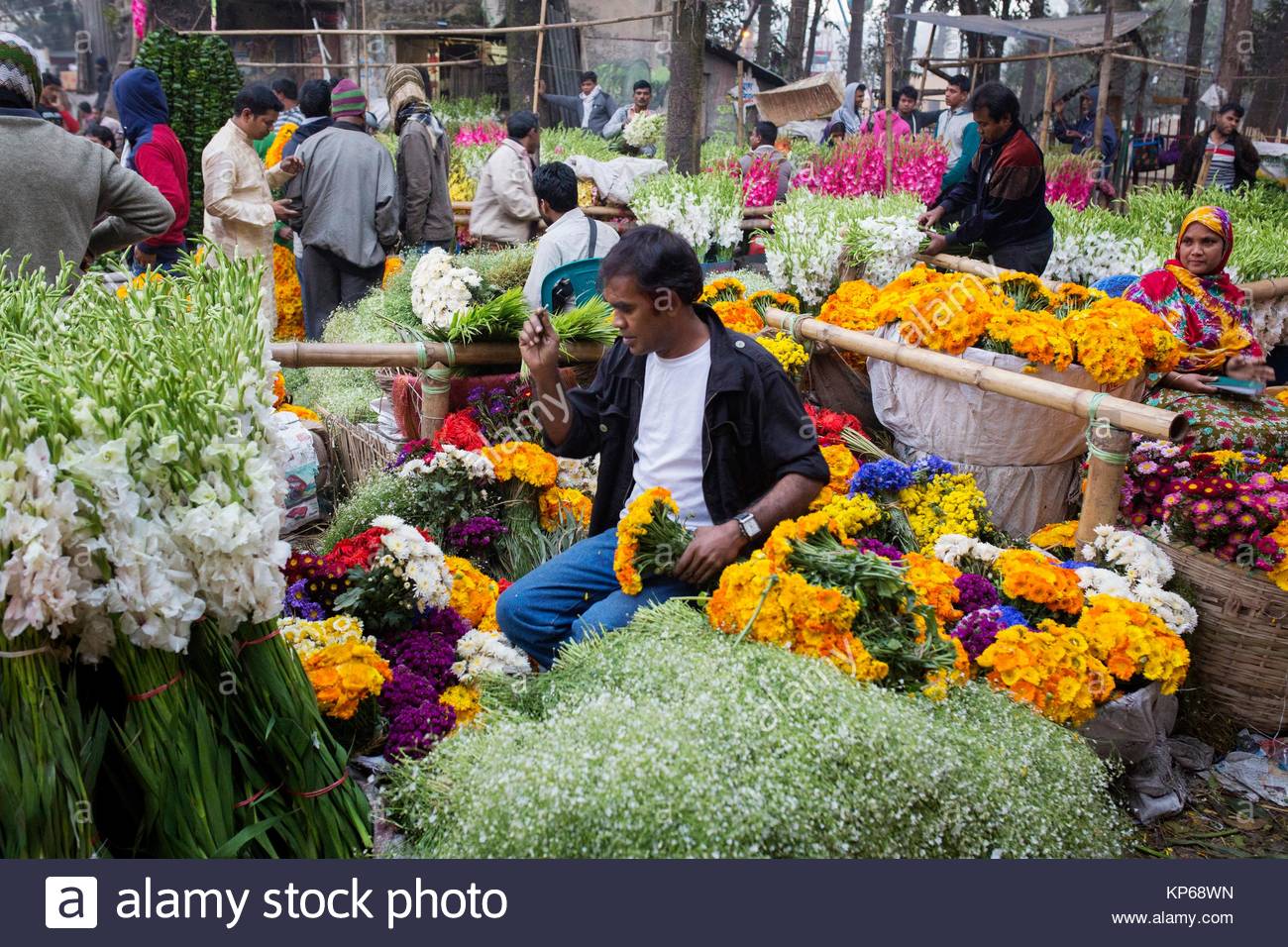 Bangladesh Flower Stock Photos & Bangladesh Flower Stock Images - Alamy