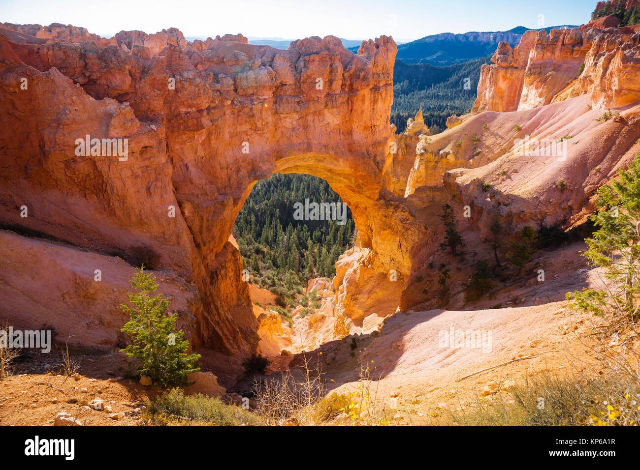 Utah bryce canyon hi-res stock photography and images - Alamy