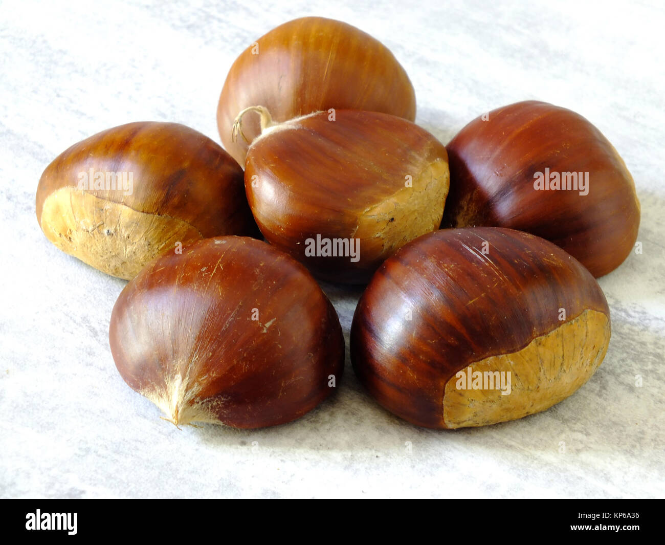 Chestnut close hi-res stock photography and images - Alamy