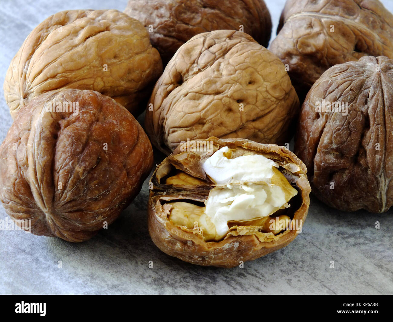 Walnut close hi-res stock photography and images - Alamy