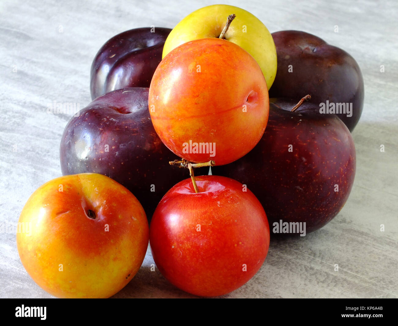 Plum varieties hi-res stock photography and images - Alamy