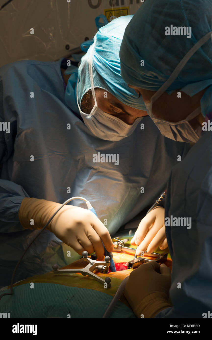 Orthopedic surgery intern hi-res stock photography and images - Alamy