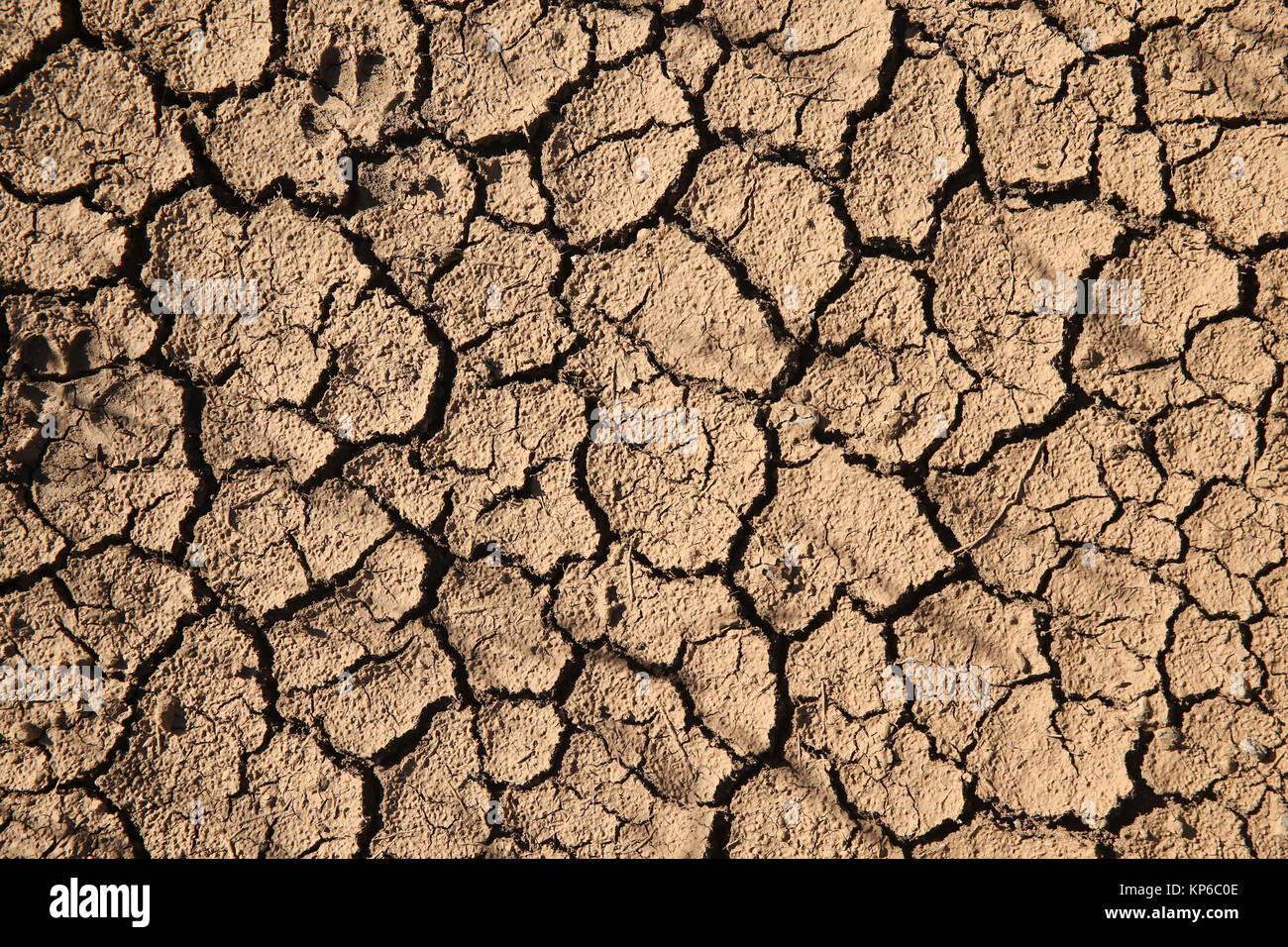 Cracks details dry hi-res stock photography and images - Alamy