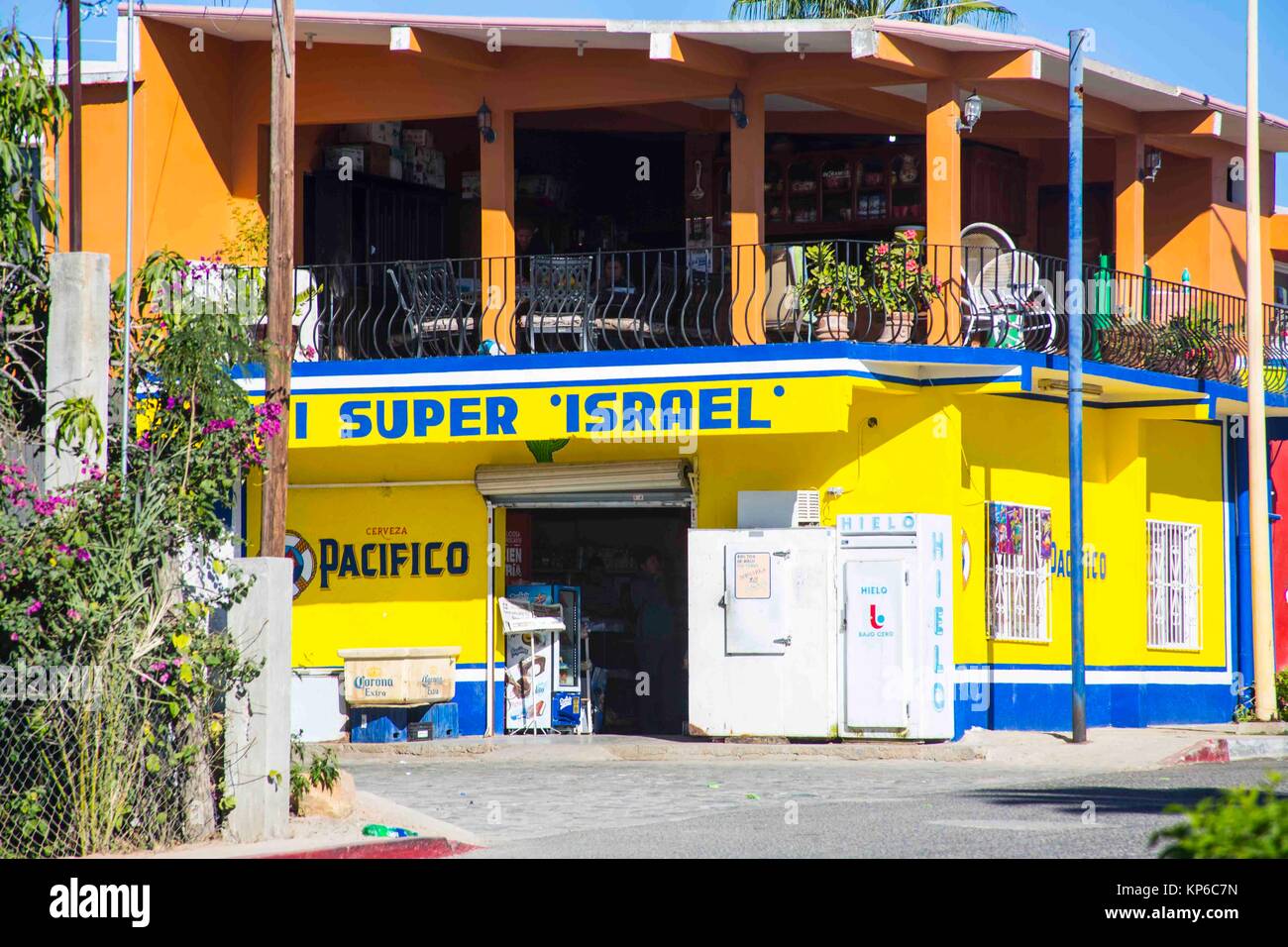 Cactus In Cabo San Lucas High Resolution Stock Photography and Images ...