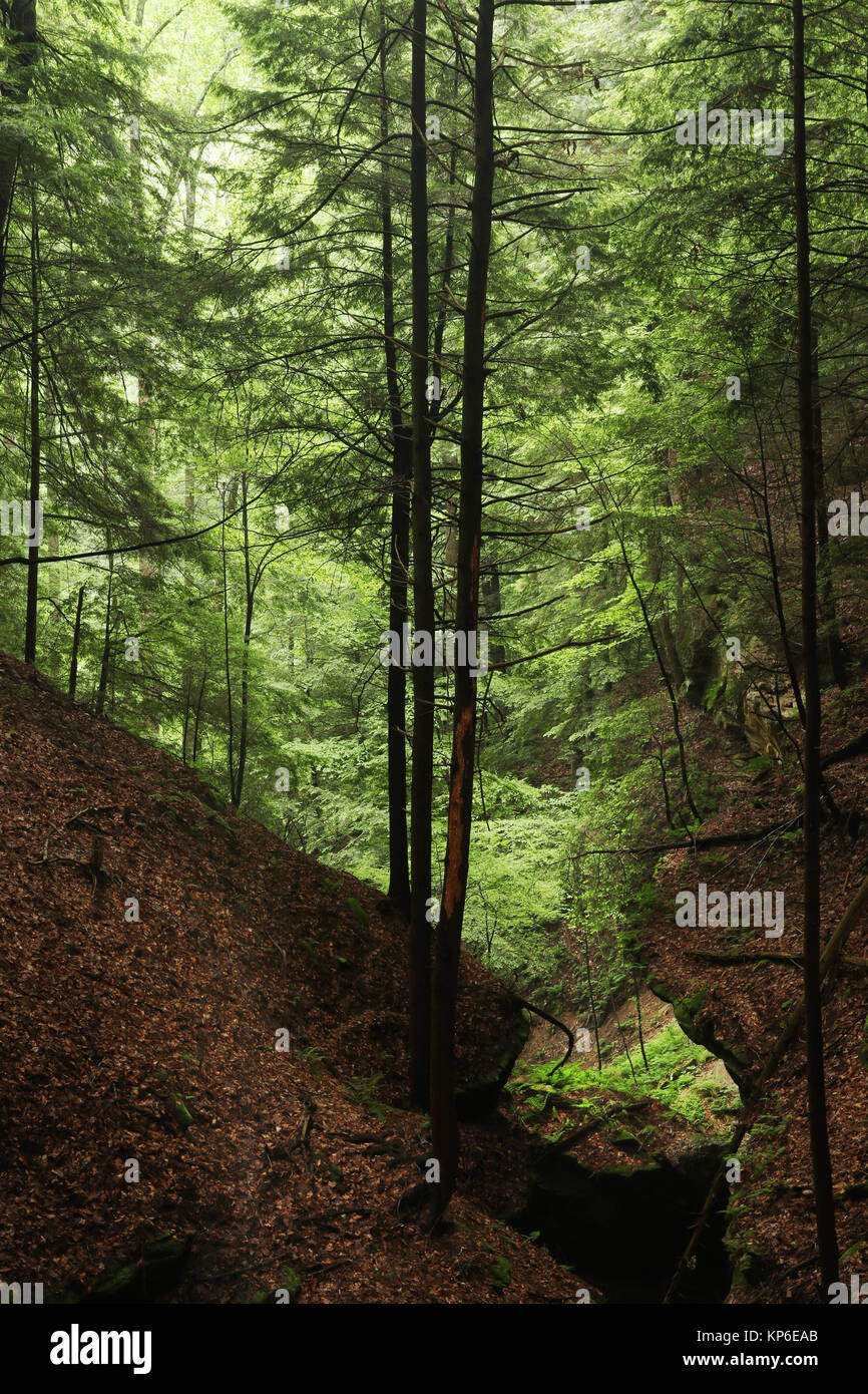 A view out from Whispering Cave, Whispering Cave Trail, Hocking Hills ...