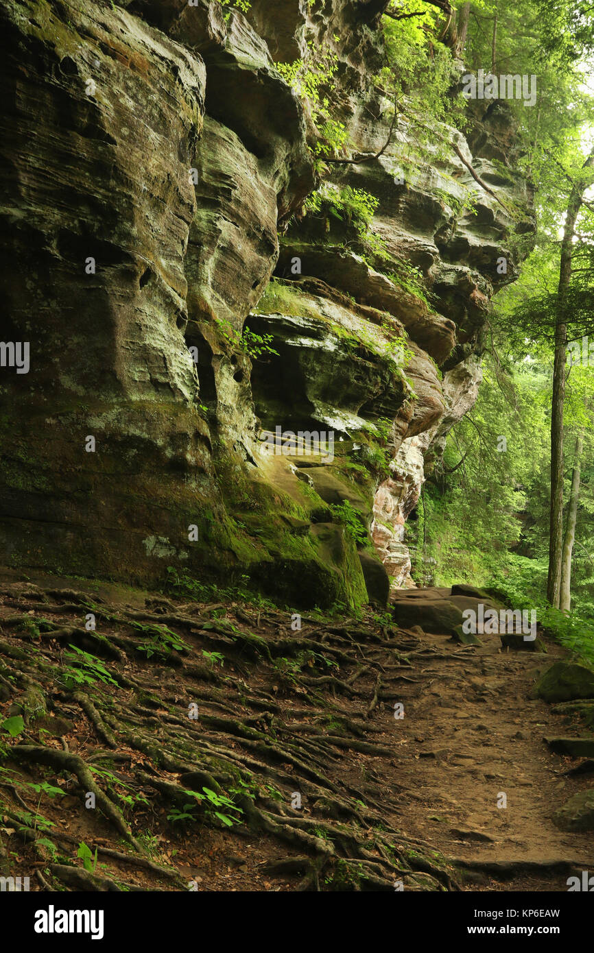 Sandstone cliffs along the Rockhouse Gorge Trail. Hocking Hills State ...