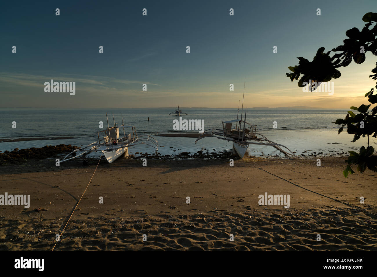 Shark trip hi-res stock photography and images - Alamy