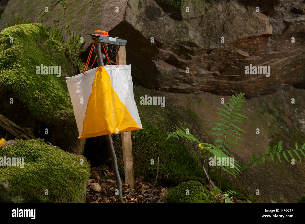 Control point symbol Stock Photo - Alamy