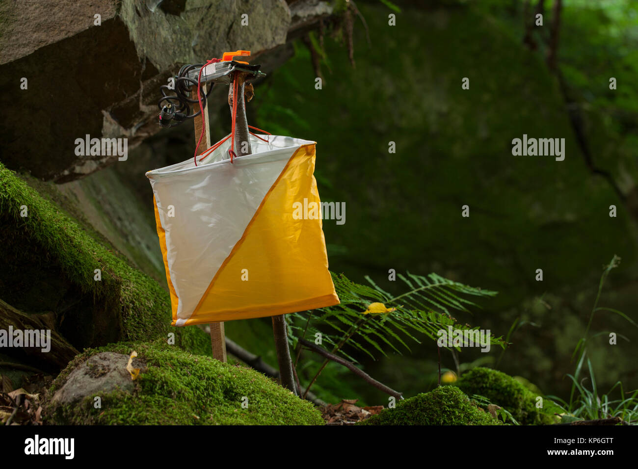 Control point symbol Stock Photo - Alamy